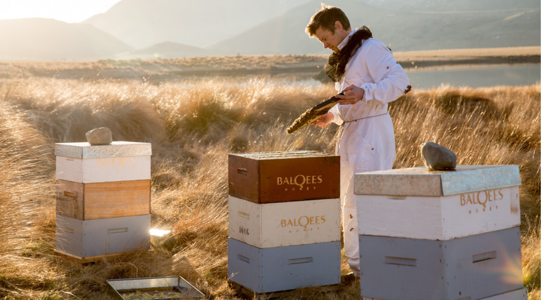 Why Ethical Beekeeping Matters for the Future of Our Planet – Balqees